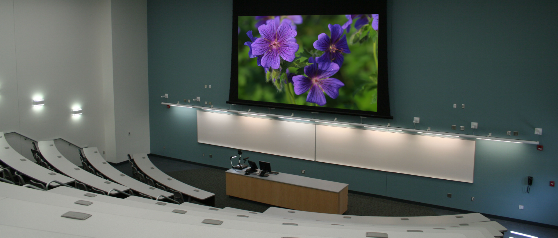 Solutions – Western Audio Visual